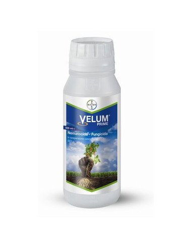 Velum Prime