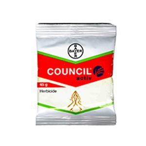 Council Active
