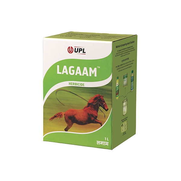 Lagaam